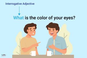 What is an Adjective?