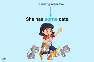 What is an Adjective?